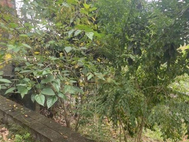 Chácara com 1 dormitório à venda, 450 m² por R$ 140.000,00 Parque Alpina Igaratá/SP