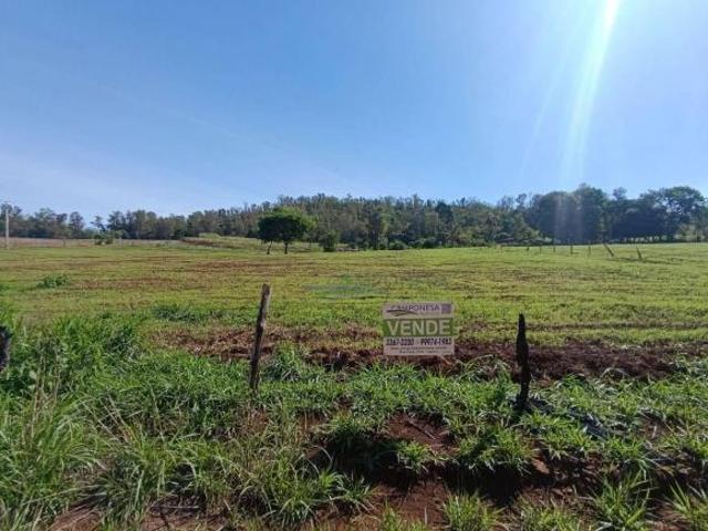 Chácara com 1 dormitório à venda, 5000 m² por R$ 230.000,00 Londrina Londrina/PR