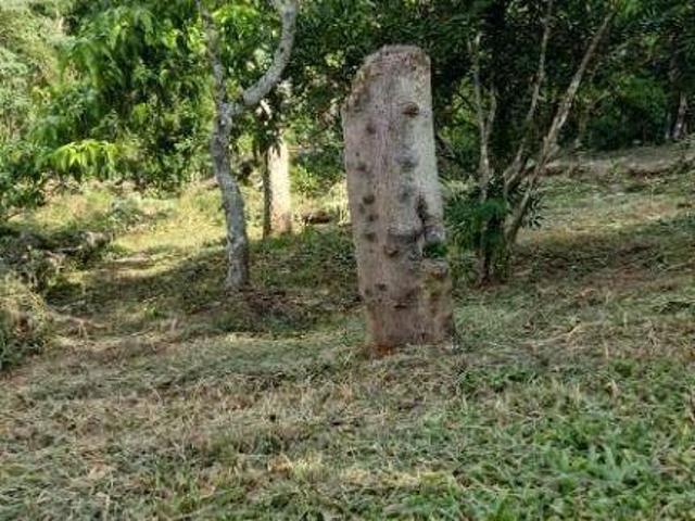 Chácara com 1 dormitório à venda, 900 m² por R$ 230.000,00 Canjica Mairiporã/SP