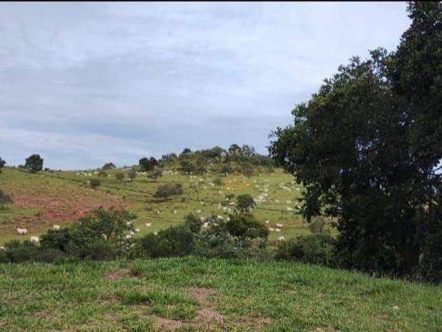 Chácara com 1 dormitório à venda, 1160 m² Loteamento Chácaras Gargantilhas Campinas/SP