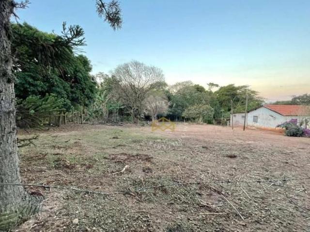 Chácara com 1 dormitório à venda, 24200 m² Jardim Nova Mercedes Campinas/SP