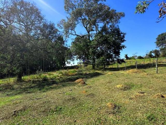 Chácara com 1.500m² à venda, situada na Alameda do Ipê, Residencial Mirante da Serra, Carmópolis de