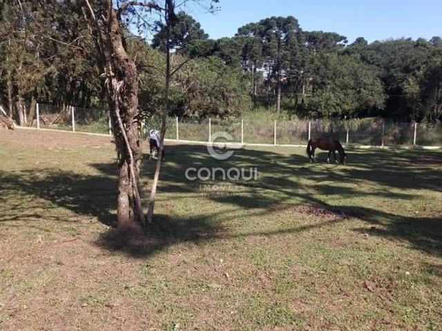 Chácara com 20.000 m² em São Jose