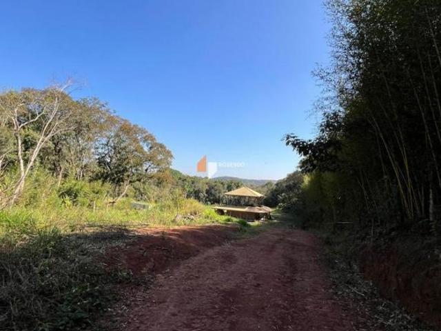 Chácara com 20.000 m² Pé no Asfalto em Mogi das Cruzes