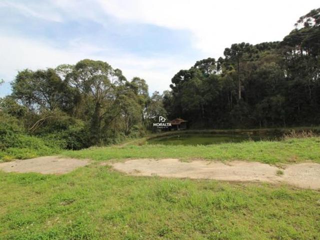 Chácara com 21.000m² na Murici
