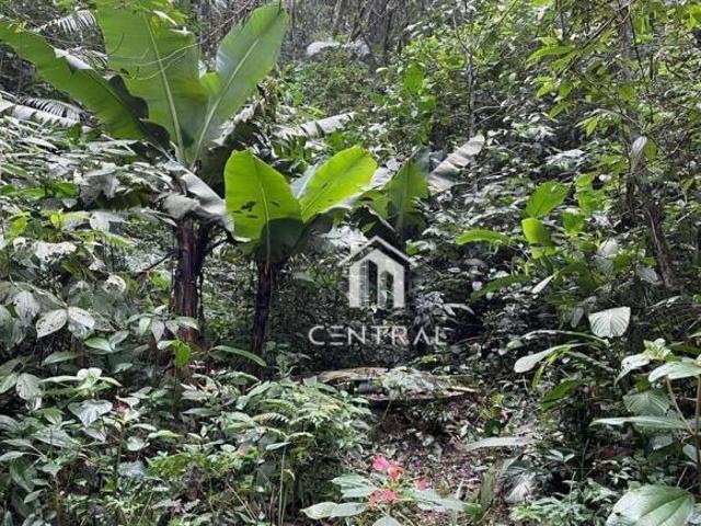 Chácara com 2 dormitórios à venda, 10570 m² por R$ 350.000 Marmelo Guarulhos/SP