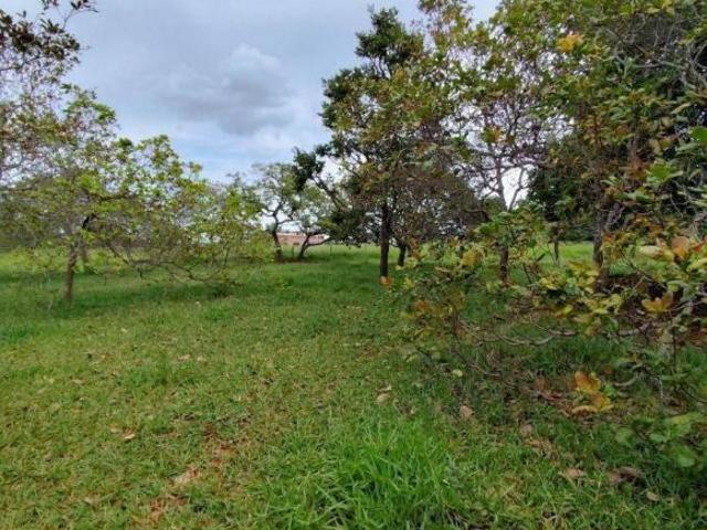 Chácara com 2 dormitórios à venda, 10000 m² por R$ 400.000,00 Cachoeirinha Aragoiânia/GO
