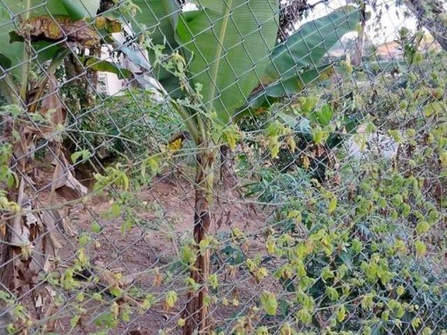 Chácara com 2 dormitórios à venda, 1000 m² por R$ 480.000 Chácaras Pousada do Vale São José dos