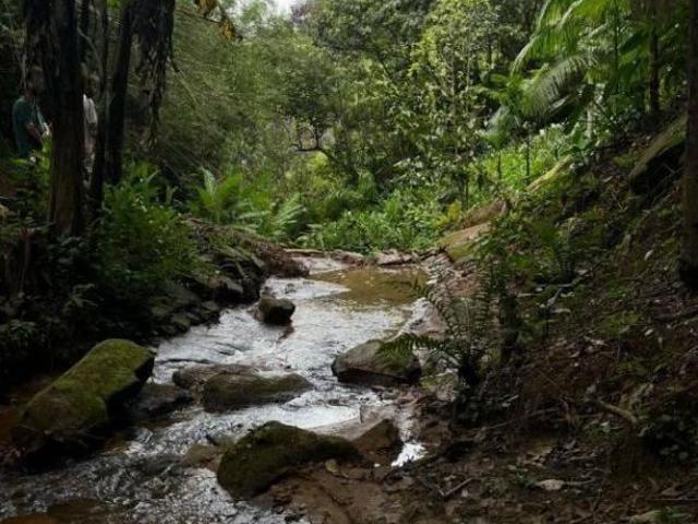 Chácara com 2 dormitórios à venda, 160000 m² por R$ 1.700.000 Serrinha Monteiro Lobato/SP