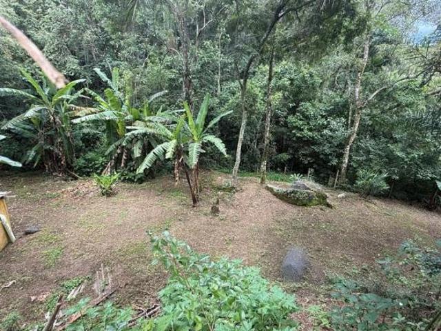 Chácara com 2 dormitórios à venda, 1800 m² por RS 380.000,00 Terra Preta Mai