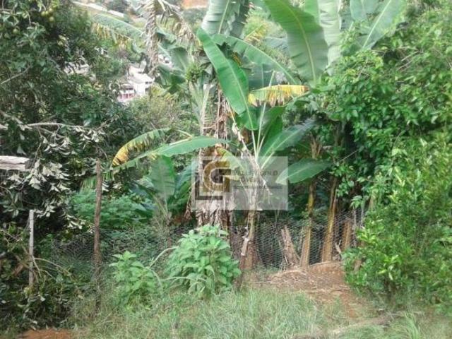 Chácara com 2 dormitórios à venda, 2000 m² por R$ 212.000,00 Buquirinha São José dos Campos/SP