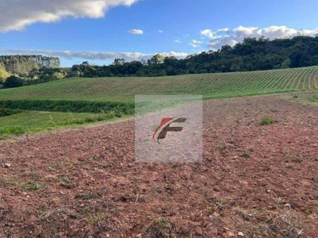 Chácara com 2 dormitórios à venda, 290400 m² por R$ 1.000.000,00 Centro Contenda/PR