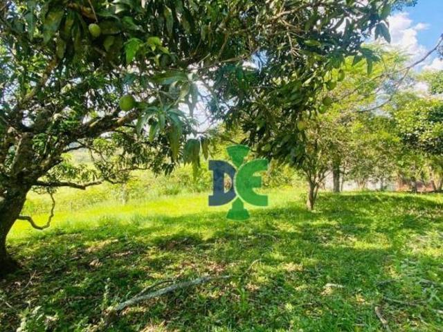 Chácara com 2 dormitórios à venda, 30000 m² por R$ 1.100.000,00 Bom Jesus Jacareí/SP