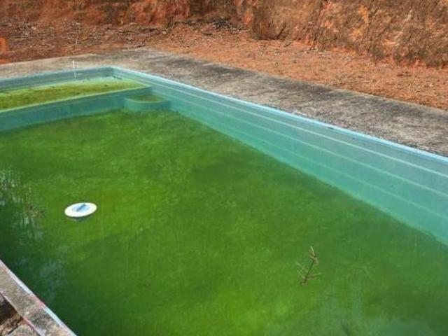 Chácara com 2 dormitórios à venda, 3502 m² Divininho Nazaré Paulista/SP