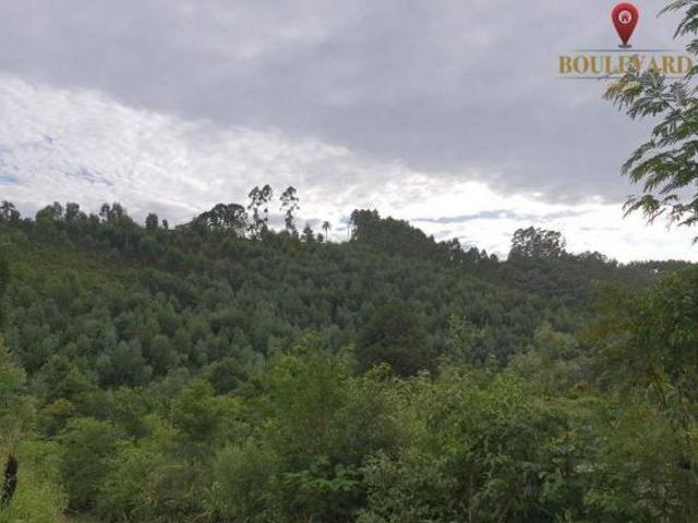 Chácara com 2 dormitórios à venda, 48400 m² por R$ 650.000 Cerro Negro Campo Magro/PR
