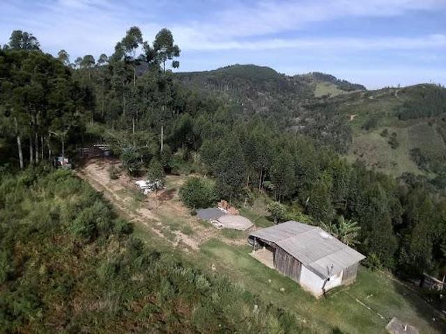 Chácara com 2 dormitórios à venda, 48400 m² por R$ 650.000,00 Campo Magro Campo Magro/PR
