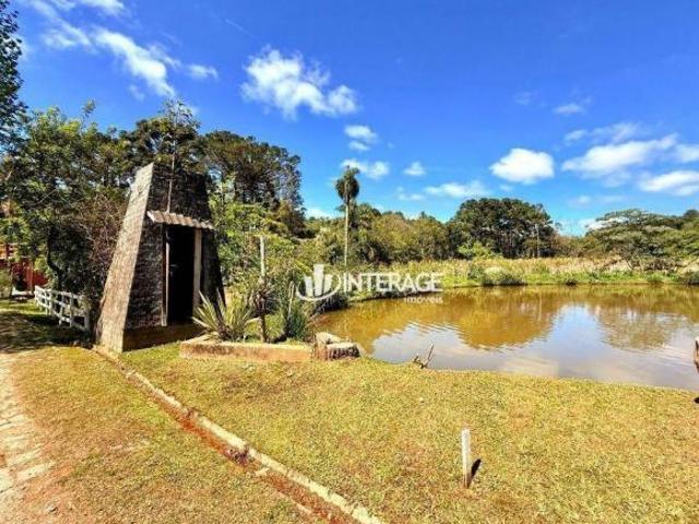 Chácara com 2 dormitórios à venda, 5000 m² por R$ 1.400.000,00 Vila David Antônio Campo Largo/PR