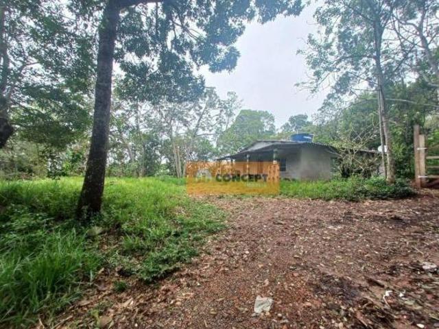 Chácara com 2 dormitórios à venda, 5000 m² por R$ 310.000,00 Estância Angelina Suzano/SP