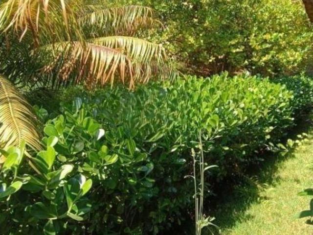 Chácara com 2 dormitórios à venda, 550 m² Recanto Por do Sol Atibaia/SP