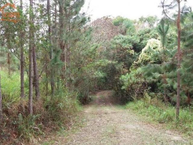 Chácara com 2 dormitórios à venda, 92 m² por R$ 13.303.000,00 Jardim Torrão de Ouro São José dos