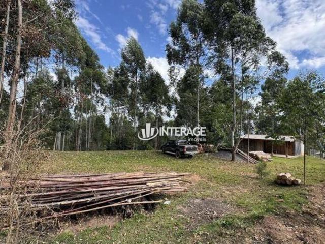 Chácara com 2 quartos à venda, 48400 m² por R$ 650.000 Cerro Negro Campo Magro/PR