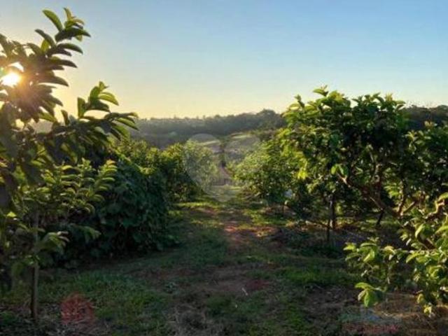 Chácara com 2 quartos à venda em Reforma Agrária SP