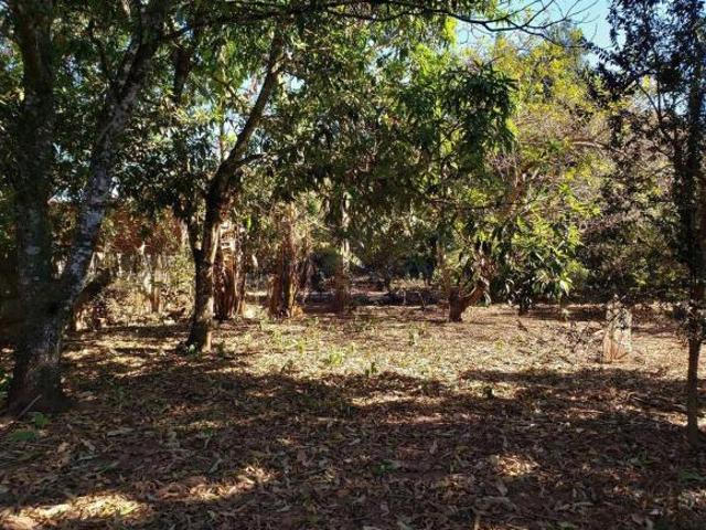 Chácara com 2 quartos, Vila Santa Fé, Pirassununga R$ 350 mil, Cod: 10131830