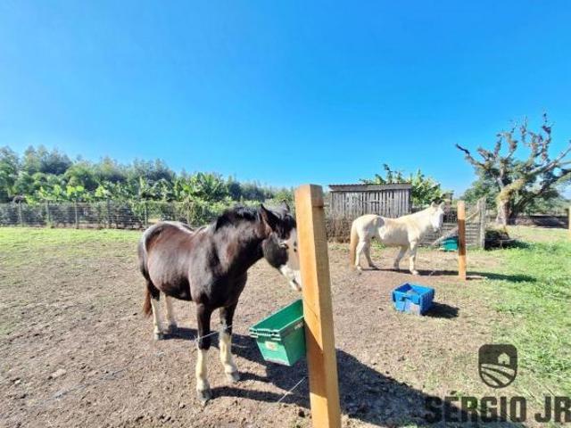 CHÁCARA COM 3000 M2 CASA, POMAR A 3KM DO POLO PETROQUIMICO DE TRIUNFO RS