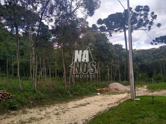CHÁCARA COM 3372 m² À VENDA NO BAIRRO ROSEIRA EM COLOMBO