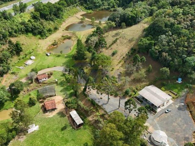 Chácara com 3 dormitório à venda com 314600m² no bairro Pinheirinho CAMPINA