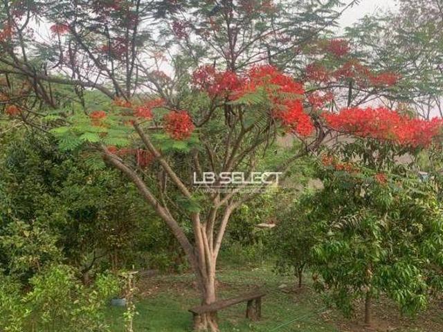 Chácara com 3 dormitórios à venda, 1000 m² por R$ 280.000,00 Capim Branco II Uberlândia/MG