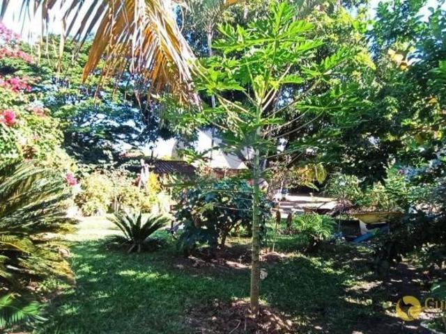 Chácara com 3 dormitórios à venda, 1000 m² por R$ 774.000,00 João Jabour Salto/SP