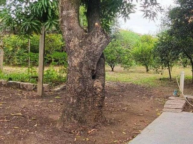 Chácara com 3 dormitórios à venda, 1260 m² por R$ 1.500.000,00 João Jabour Salto/SP