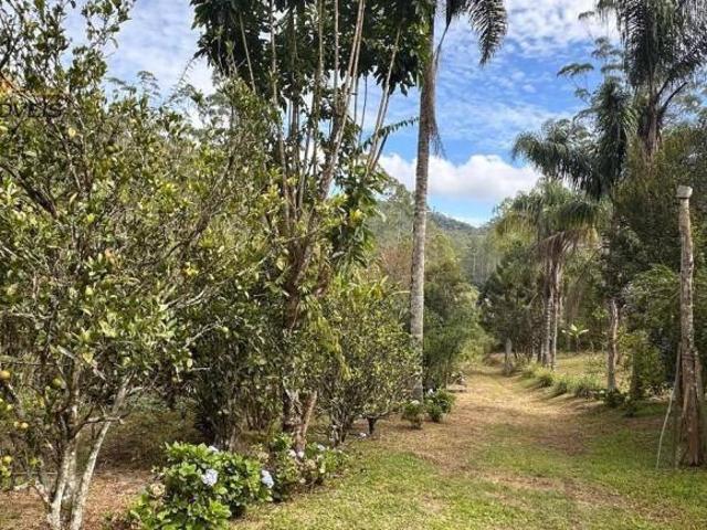 Chácara com 3 dormitórios à venda, 12000 m² por R$ 350.000 Zona Rural Paraibuna/SP