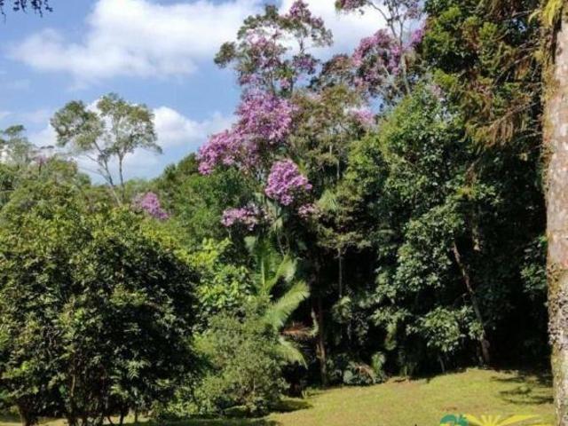 Chácara com 3 dormitórios à venda, 15000 m² por R$ 1.300.000,00 Finco São Bernardo do Campo/SP