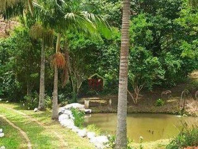 Chácara com 3 dormitórios à venda, 18000 m² por R$ 1.280.000 Souzas Monteiro Lobato/SP OPORTUN