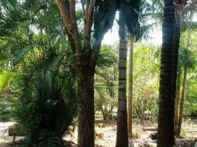 Chácara com 3 dormitórios à venda, 2000 m² por R$ 860.000,00 Chácara Dallas Taubaté/SP