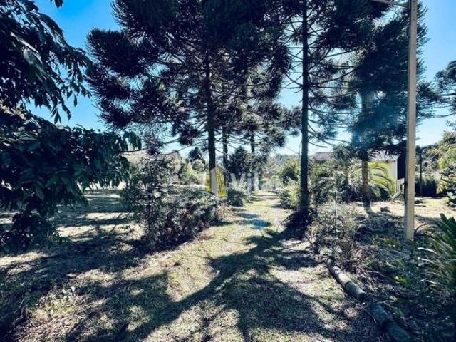 Chácara com 3 dormitórios à venda, 22450 m² por R$ 1.250.000,00 Planta Meireles Piraquara/PR