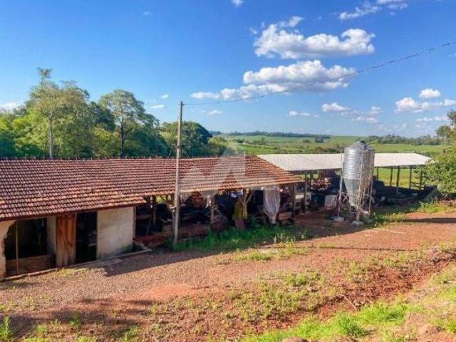 Chácara com 3 dormitórios à venda,22800.00 m, Jardim Coopagro, TOLEDO PR