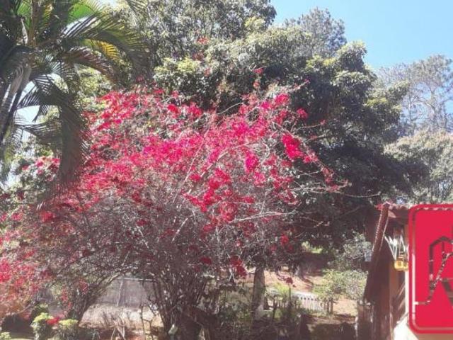 Chácara com 3 dormitórios à venda, 30000 m² por R$ 2.000.000,00 Jardim São Miguel Bragança Pauli