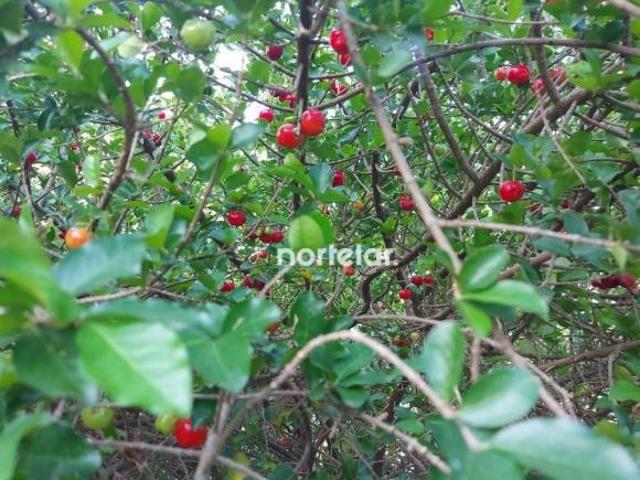 Chácara com 3 dormitórios à venda, 3000 m² por R$ 1.166.000,00 Chácaras São José Franco da Rocha