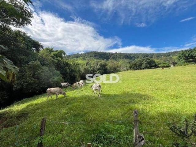 Chácara com 3 dormitórios à venda, 3000 m² por R$ 390.000 Claraval/MG