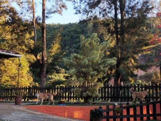 Chácara com 3 dormitórios à venda, 3000 m² por R$ 310.000,00 Paula Lima Juiz de Fora/MG