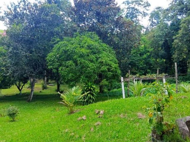 Chácara com 3 dormitórios à venda, 33000 m² por RS 900.000 Monte Negro Santa