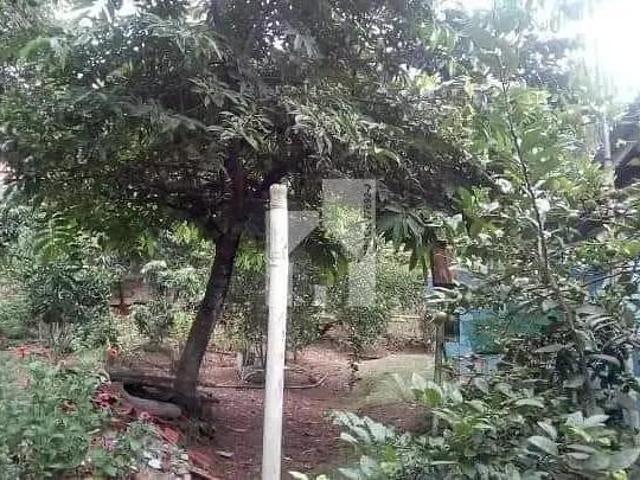 Chácara com 3 dormitórios à venda, 3450 m² Chácara Nova Essen Campo Limpo Paulista/SP