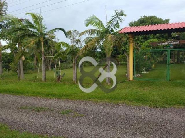 Chácara com 3 dormitórios à venda, 4000 m² por R$ 650.000,00 José Messias Ibiporã/PR