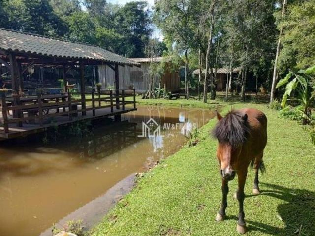 Chácara com 3 dormitórios à venda, 4232 m² por R$ 1.800.000,00 Planta Laranjeiras Piraquara/PR