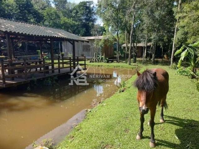 Chácara com 3 dormitórios à venda, 4232 m² por R$ 1.800.000,00 Planta Laranjeiras Piraquara/PR