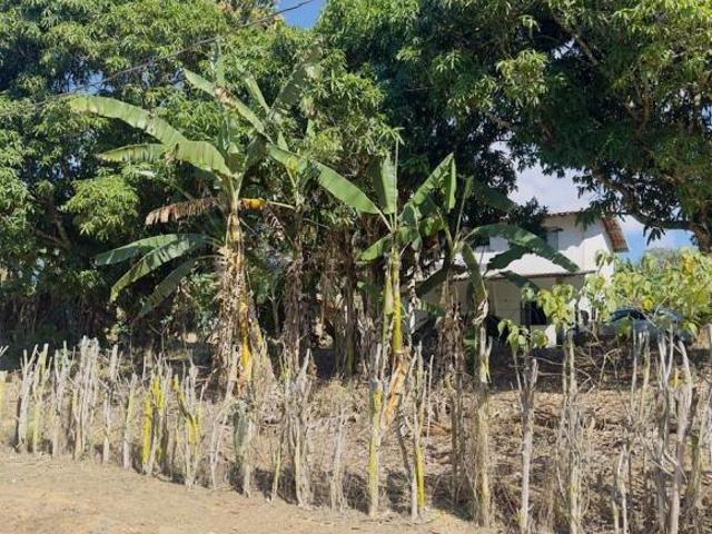 Chácara com 3 dormitórios à venda, 5240 m² por R$ 800.000,00 Chácara Maracajás Salto/SP