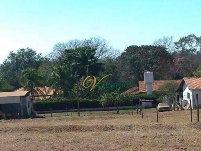 Chácara com 3 dormitórios à venda, 5 m² por R$ 900.000,00 Estância Jóckei Club São José do Rio P